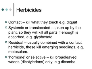 Rhs year 2 week 18 presentation | PPT