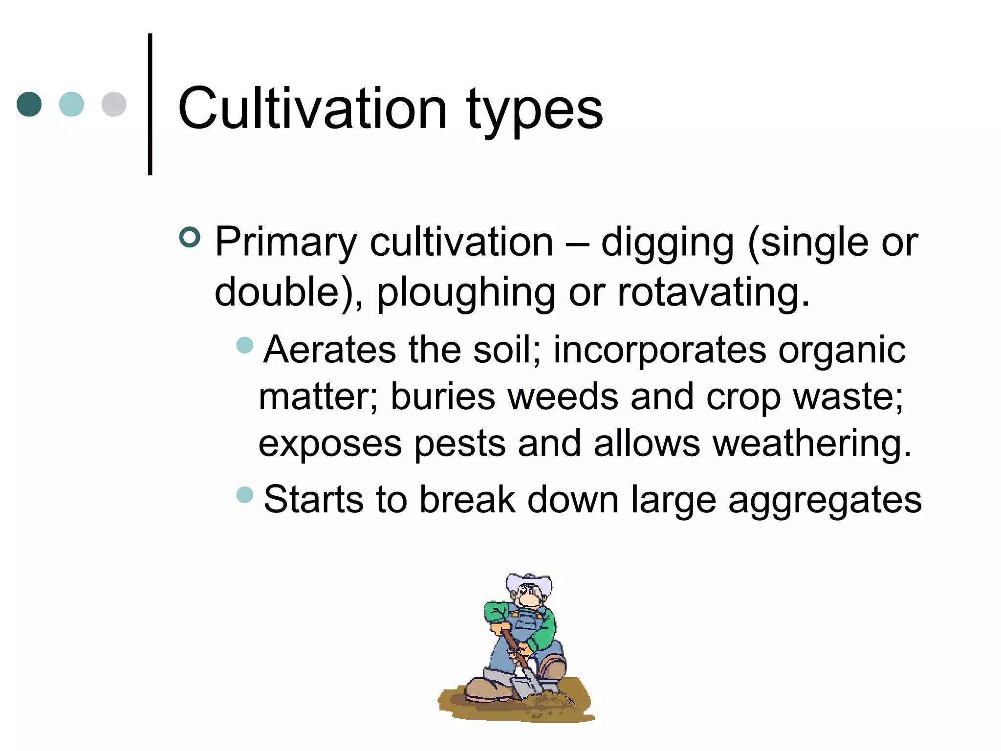 Rhs year 2 week 2 presentation | PPT