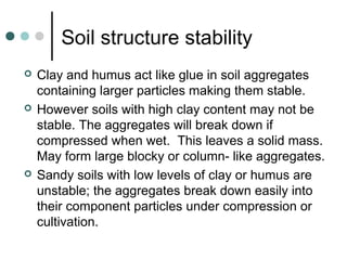 Rhs year 2 week 2 presentation | PPT