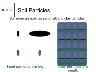 Rhs year 2 week 2 presentation 2016 | PPT