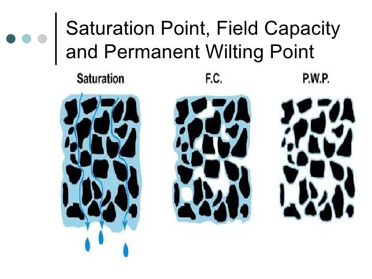 Rhs year 2 week 3 presentation