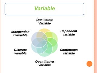 Basic Statistics Presentation | PPT