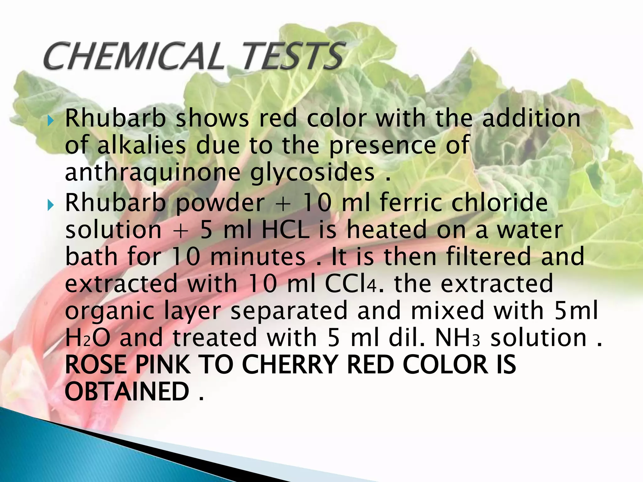 Rhubarb | PPTX
