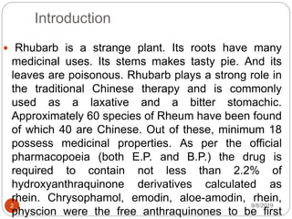 Rhubarb( padamchal) | PPTX