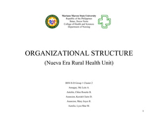 Rhu org. structure with analysis | PDF