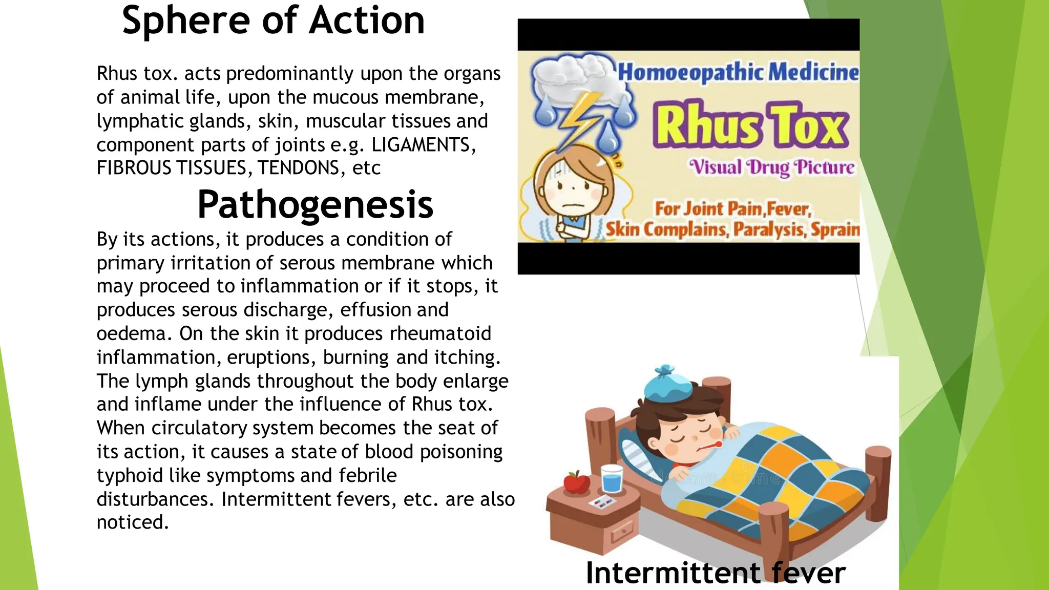 Rhus- Tox.pdf homeopathic medicine ............ | PPT