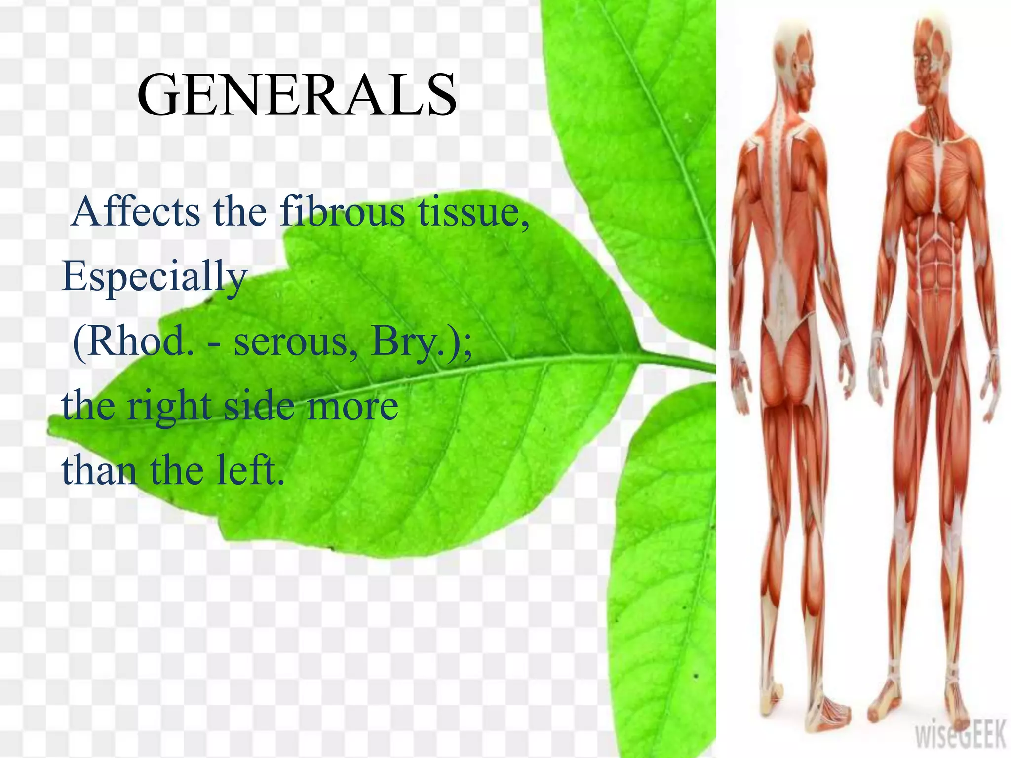 Rhux tox Drug Picture | PPTX