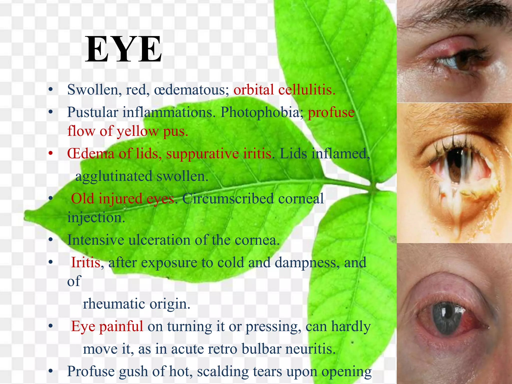 Rhux tox Drug Picture | PPTX