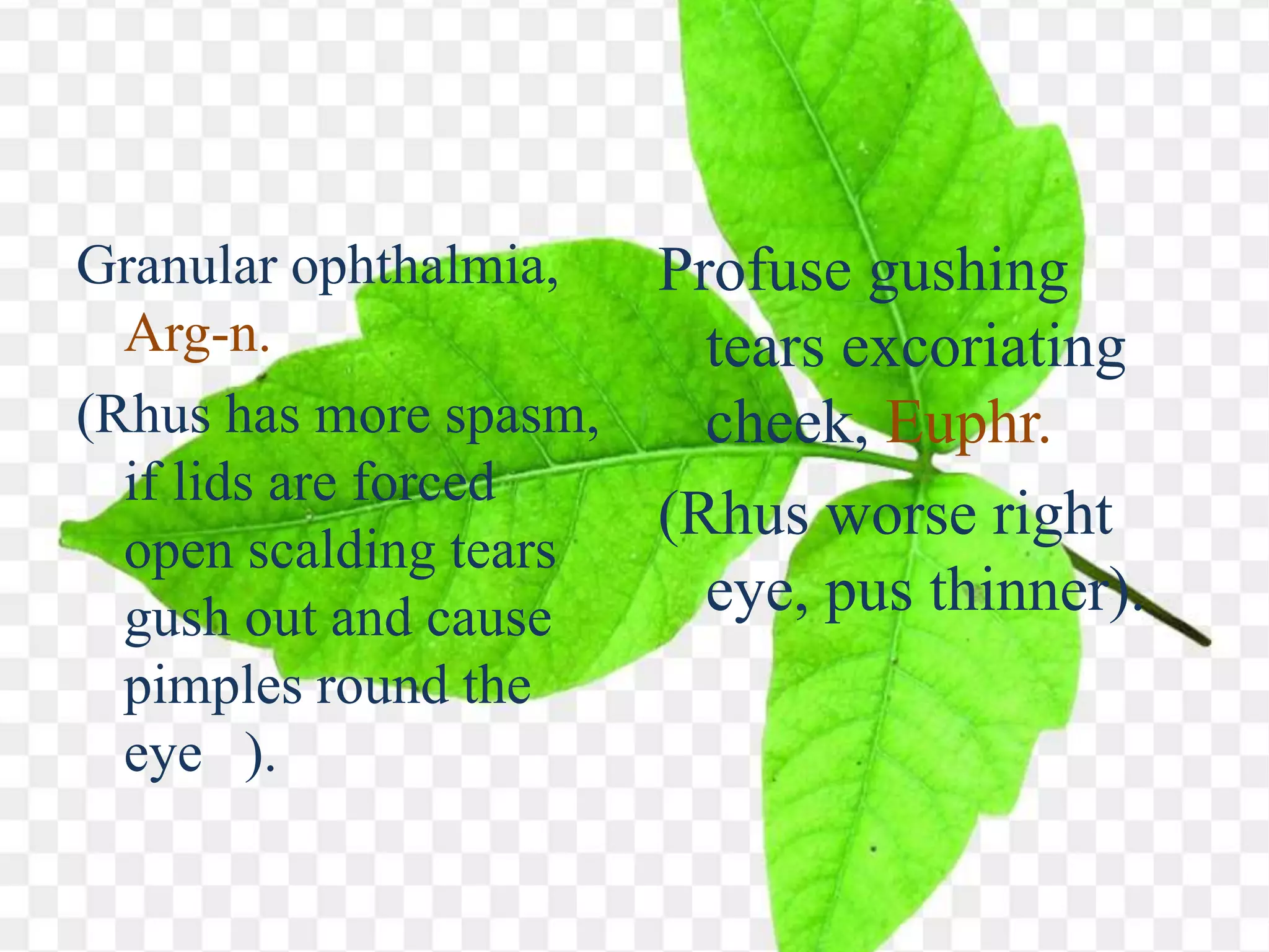 Rhux tox Drug Picture | PPTX