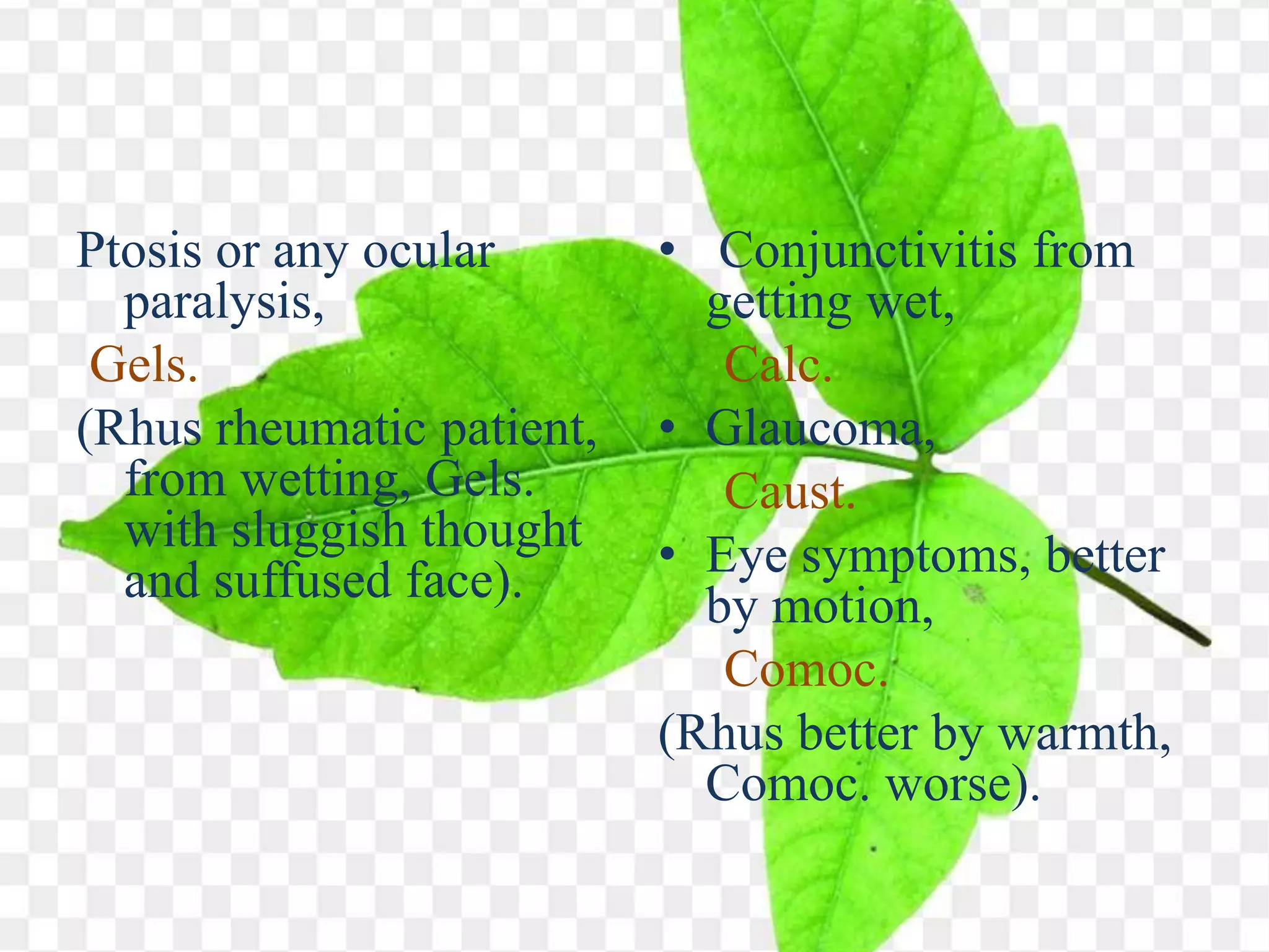 Rhux tox Drug Picture | PPTX