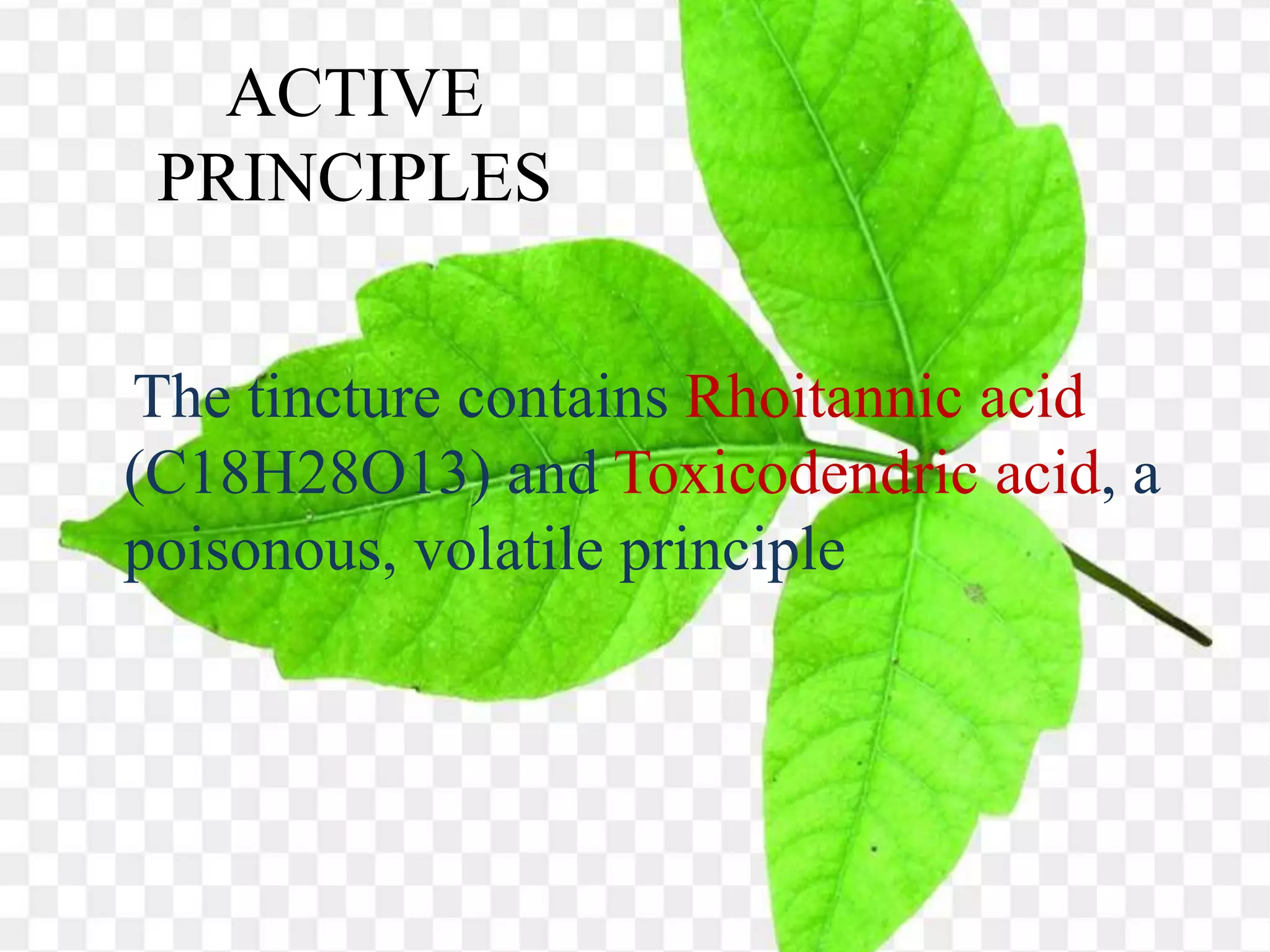 Rhux tox Drug Picture | PPTX