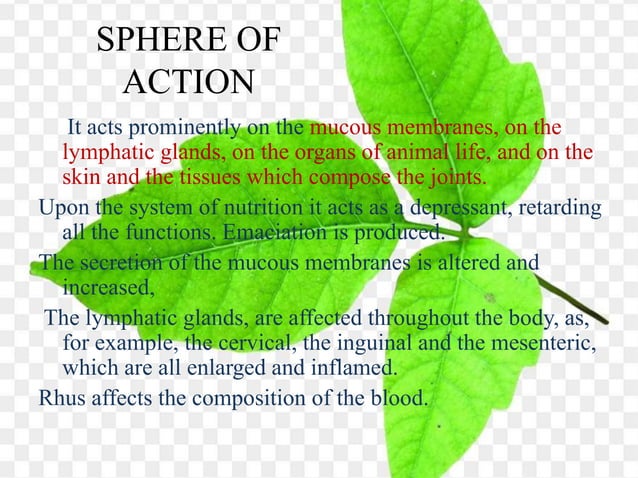 Rhux tox Drug Picture | PPTX