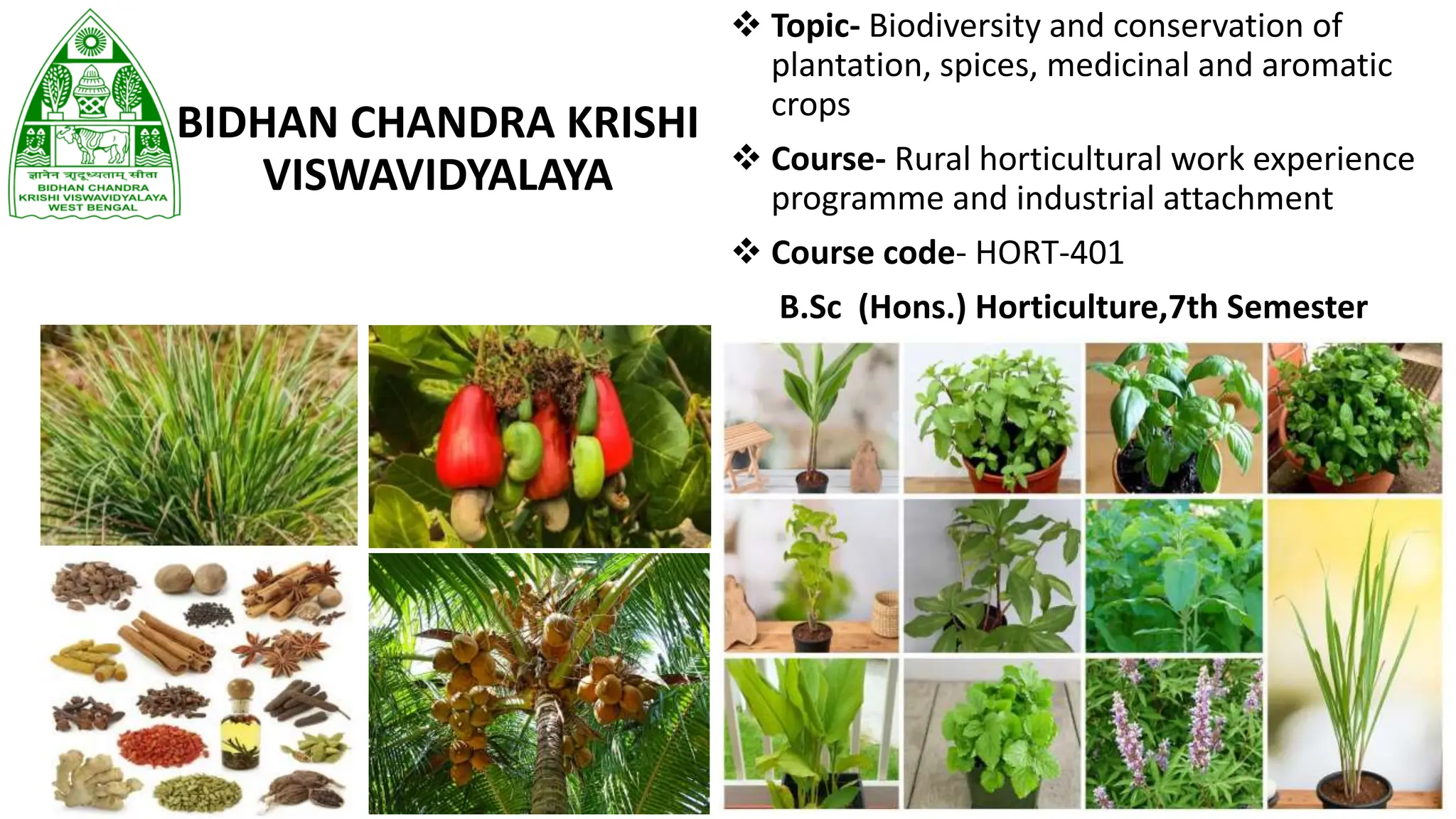 Biodiversity and Conservation of plantation crops. | PPTX