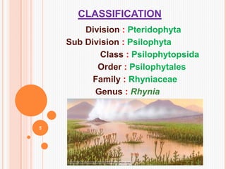 Rhynia | PPTX