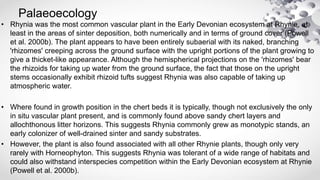 Rhynia.pptx