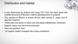 Rhynia.pptx