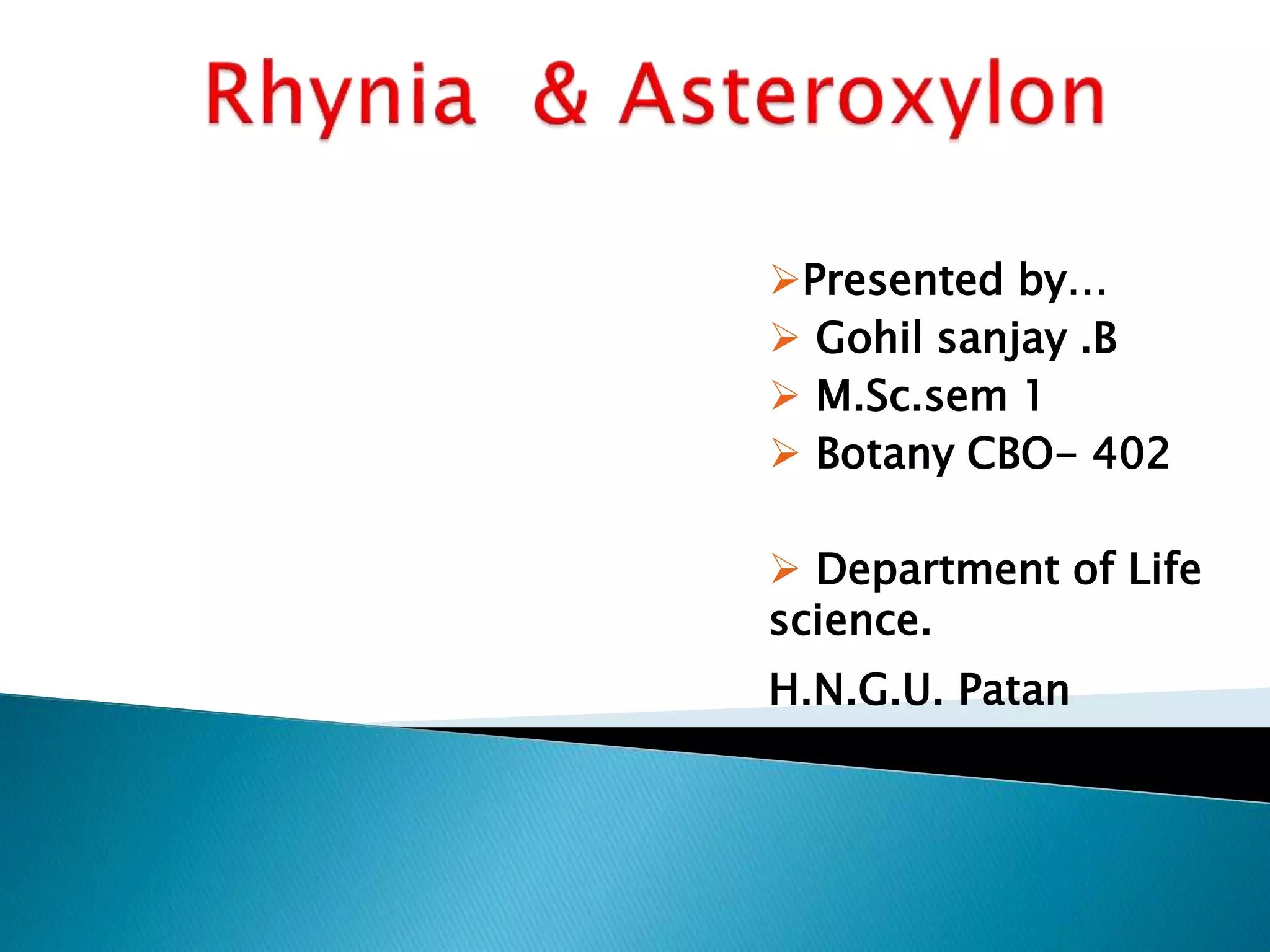 Rhynia / asteroxylom | PPTX