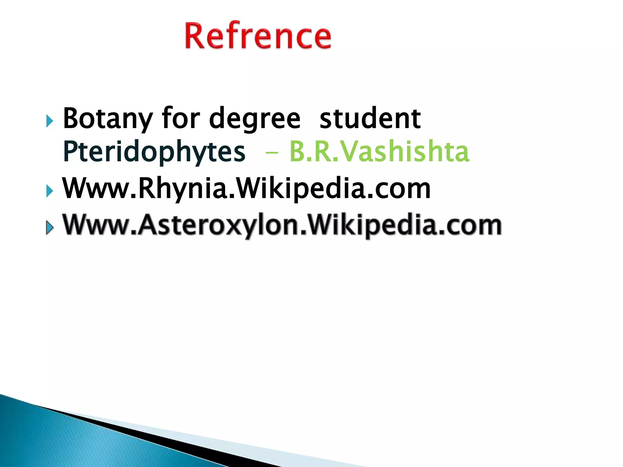 Rhynia / asteroxylom | PPTX