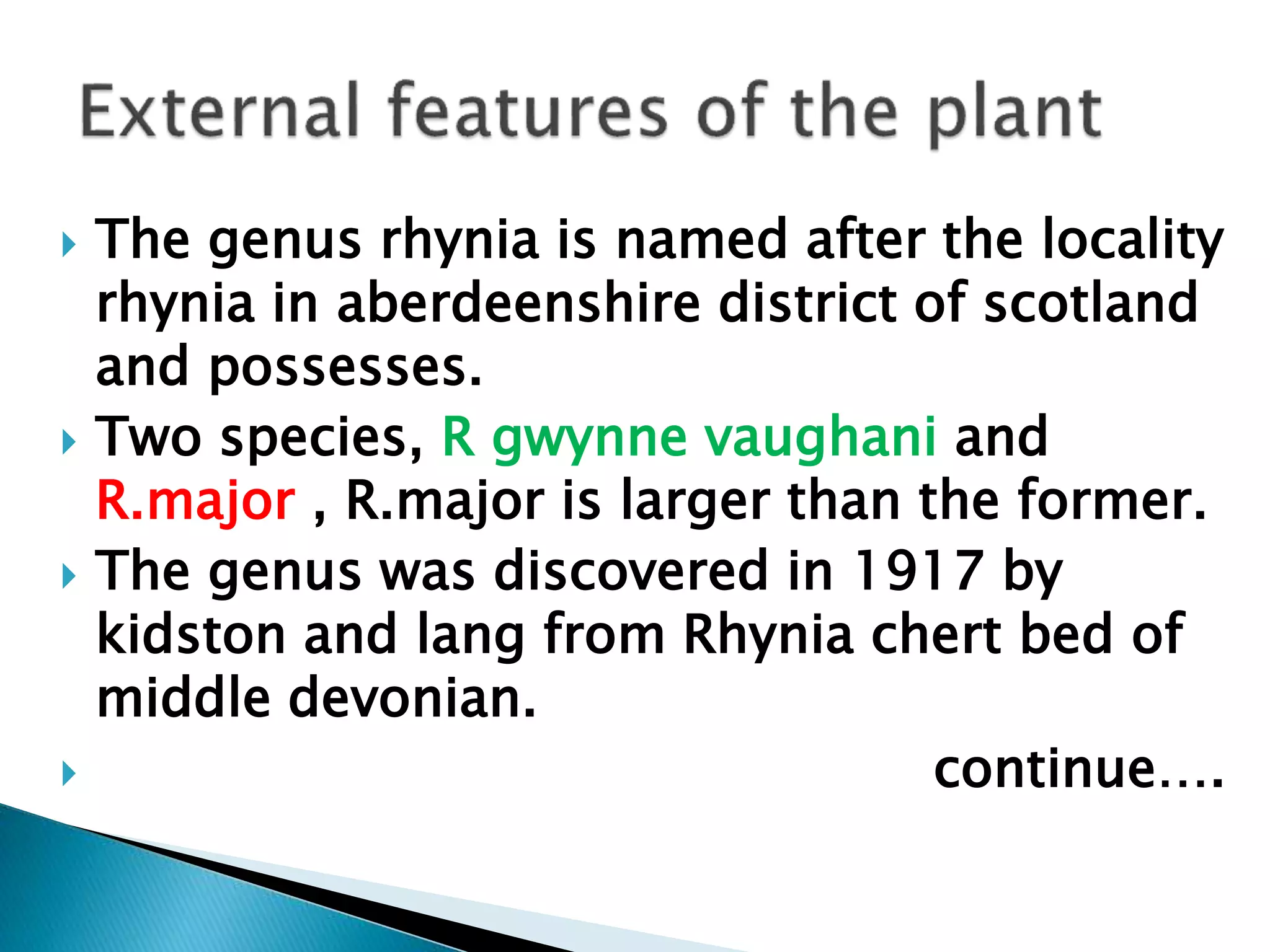 Rhynia / asteroxylom | PPTX