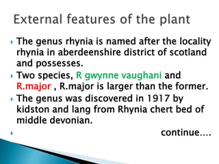 Rhynia / asteroxylom | PPTX