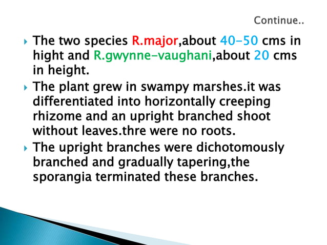 Rhynia / asteroxylom | PPTX