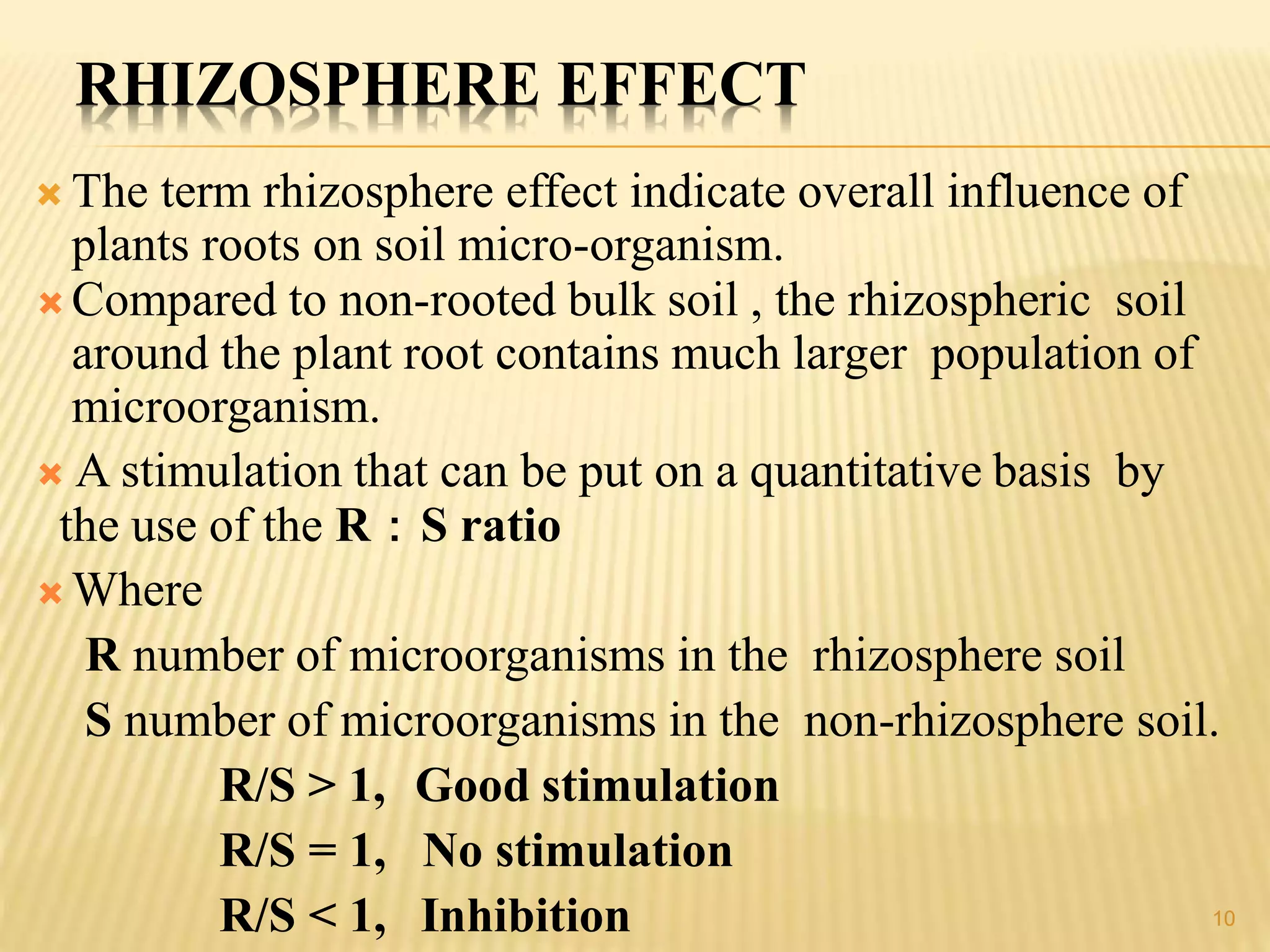 Rhizosphere & phyllosphere | PPTX
