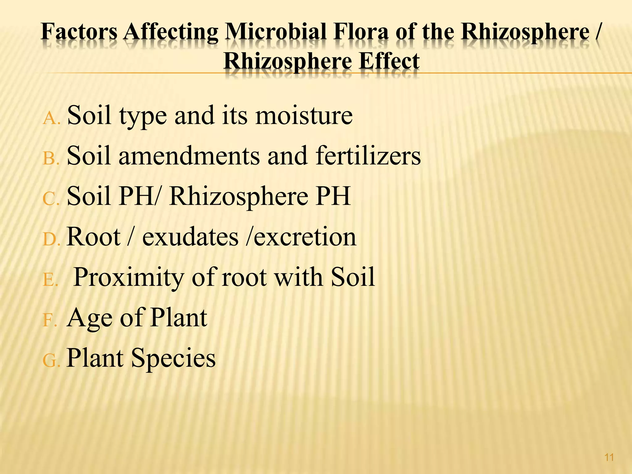 Rhizosphere & phyllosphere | PPTX