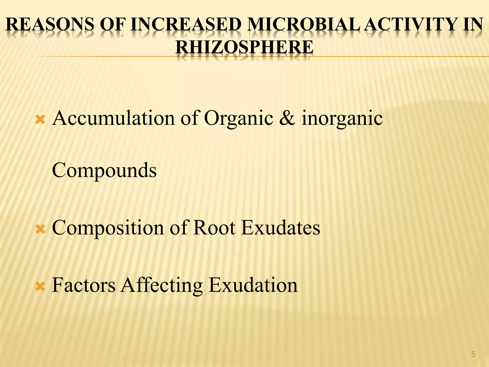 Rhizosphere & phyllosphere | PPTX