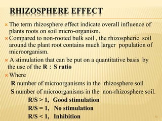 Rhizosphere & phyllosphere | PPTX