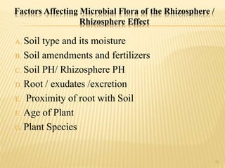 Rhizosphere & phyllosphere | PPTX