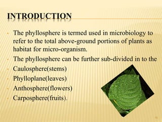 Rhizosphere & phyllosphere | PPTX