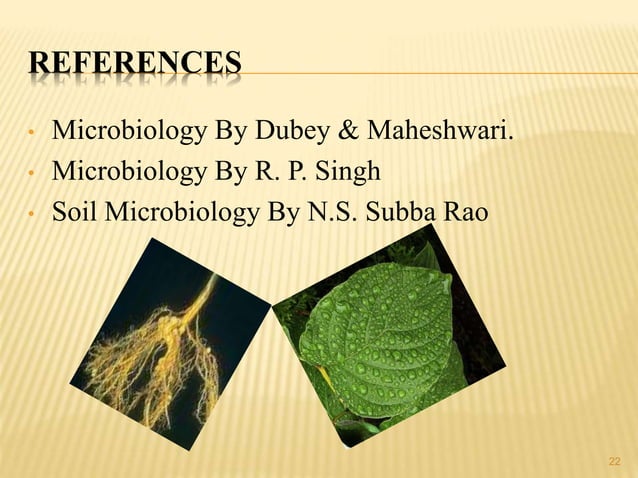 Rhizosphere & phyllosphere | PPTX