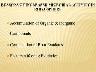 Rhizosphere & phyllosphere | PPTX