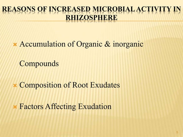 Rhizosphere & phyllosphere | PPTX