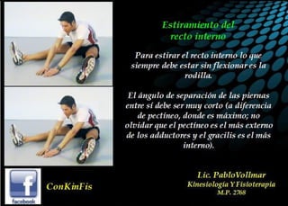 Anatomia del Recto Interno o Gracilis | PDF