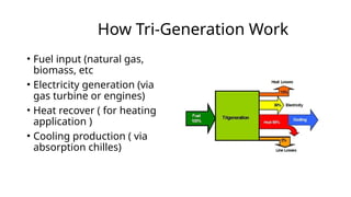 Tri-generation process in all about information to the introduction ...