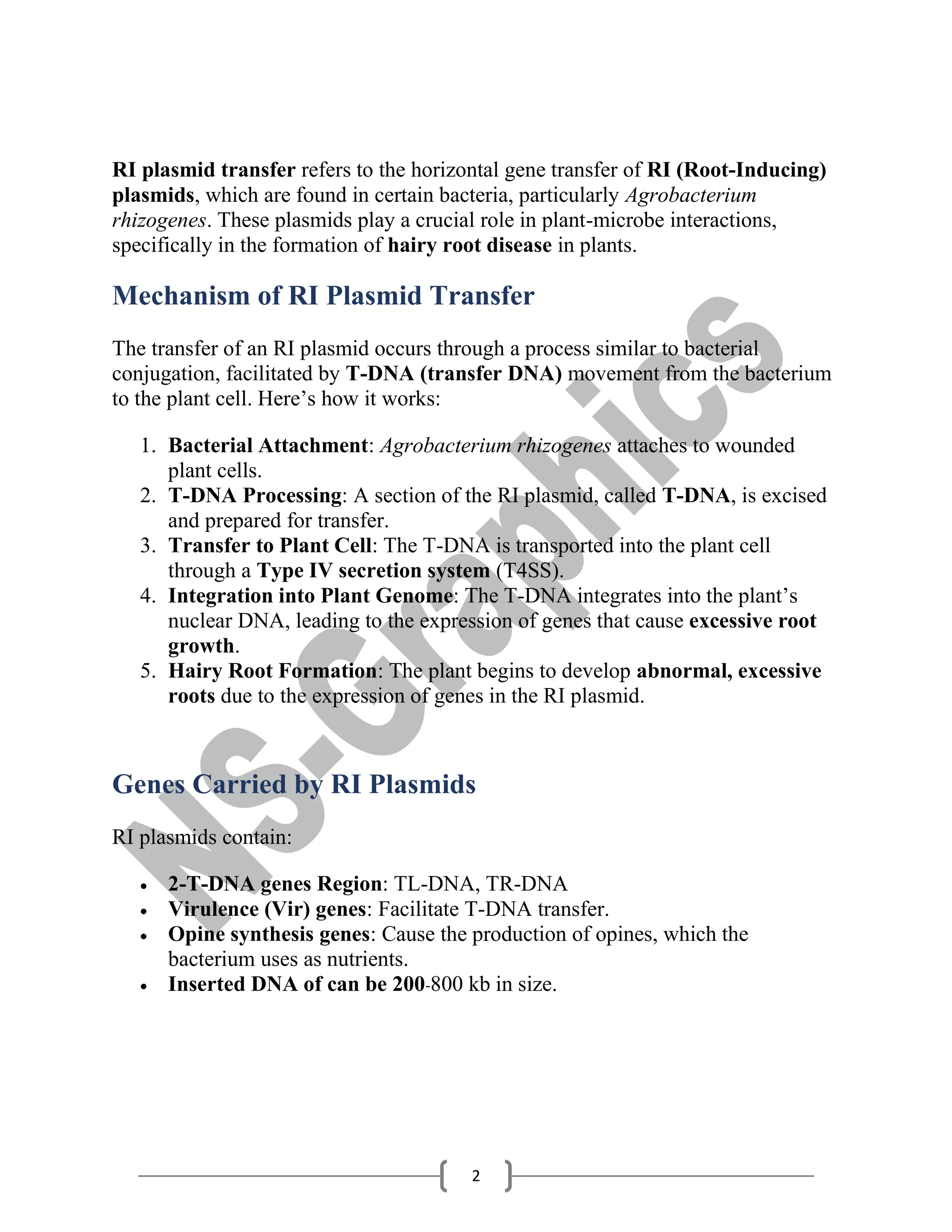 Ri-Plasmid Transfer for Biotechnology & Botany Students | PDF