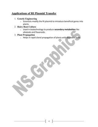 Ri-Plasmid Transfer for Biotechnology & Botany Students | PDF
