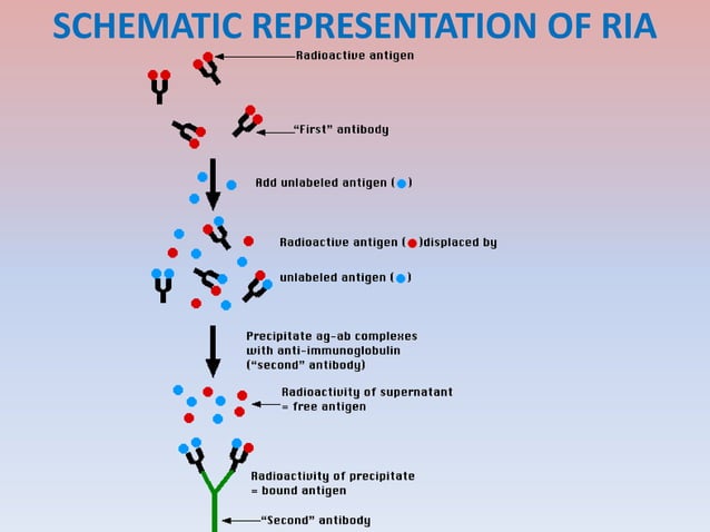 Radio immuno assay | PPT