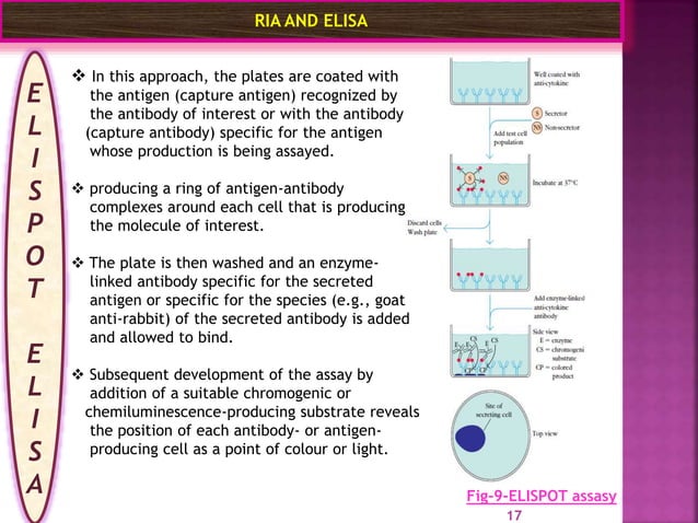 Ria and elisa final ppt | PPTX | Chemistry | Science