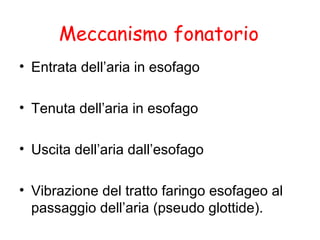 La riabilitazione nella chirurgia laringea | PPT