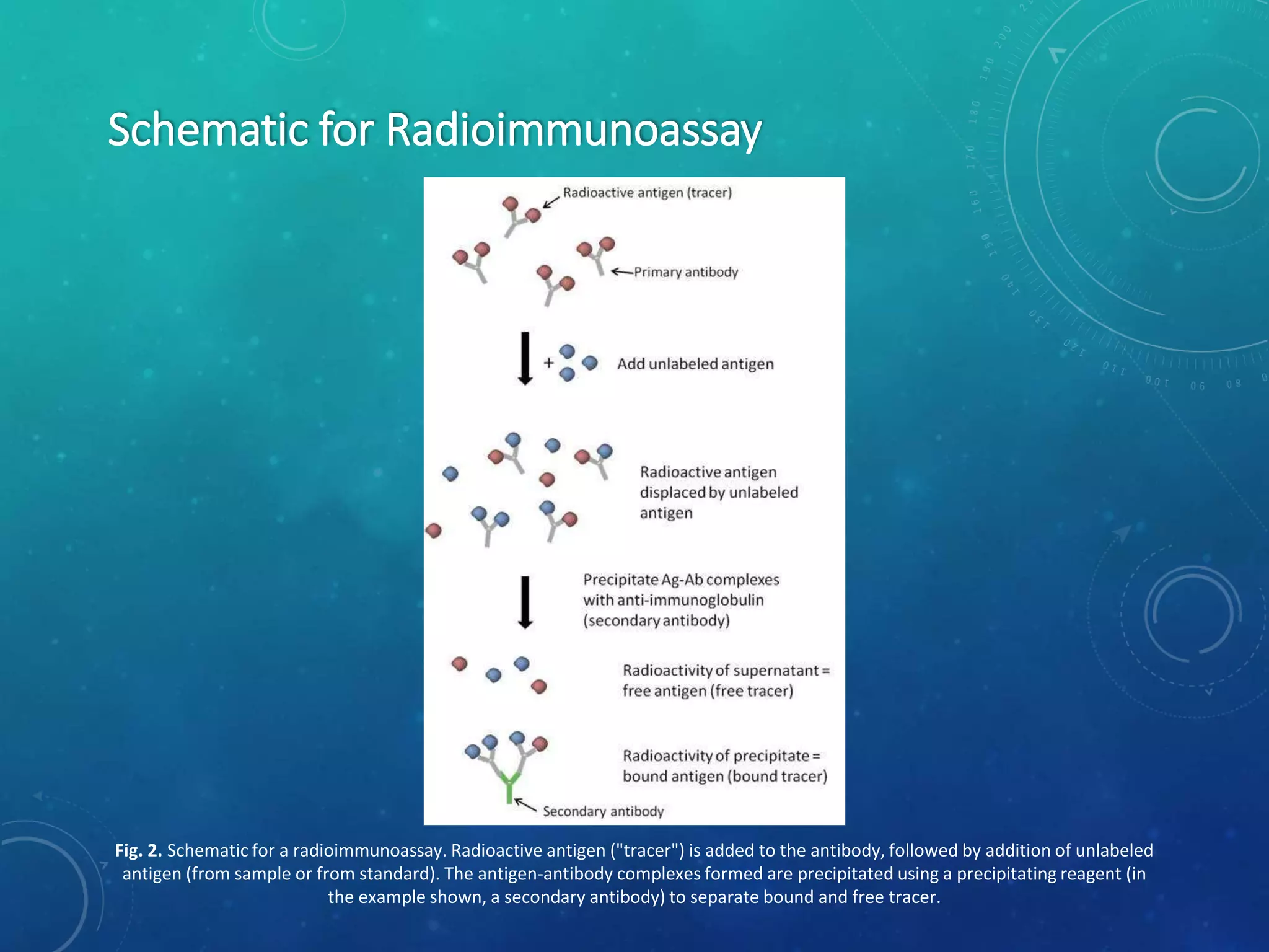RIA and ELISA | PPTX
