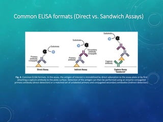 RIA and ELISA | PPTX