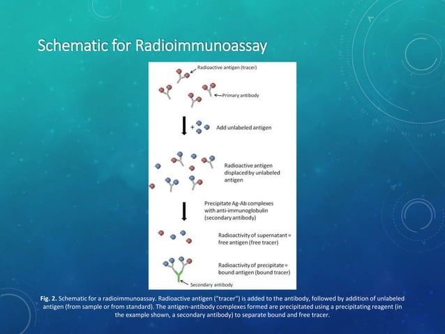 RIA and ELISA | PPTX