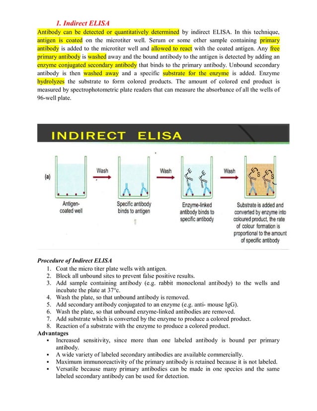 ria elisa biochem.pdf