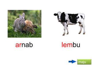 Riang ria bersama haiwan | PPT