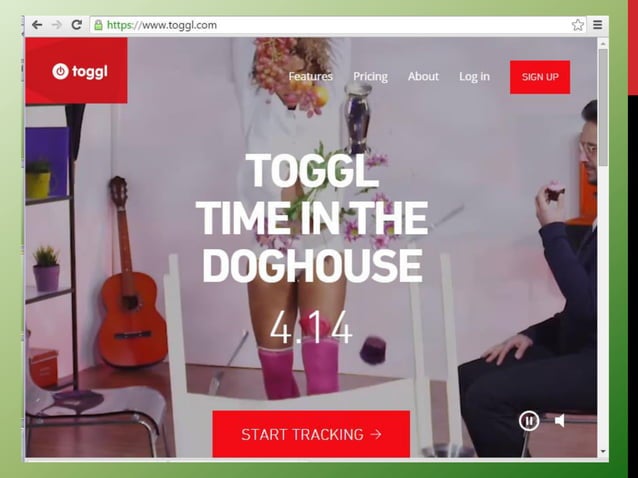 Riann salandanan howtouse_toggl | PPT