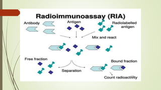 RIA PPT.pptx | Chemistry | Science