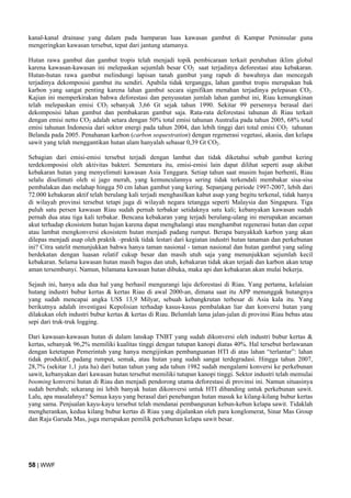 Riau Co2 Full Report Bahasa Indonesia | PDF