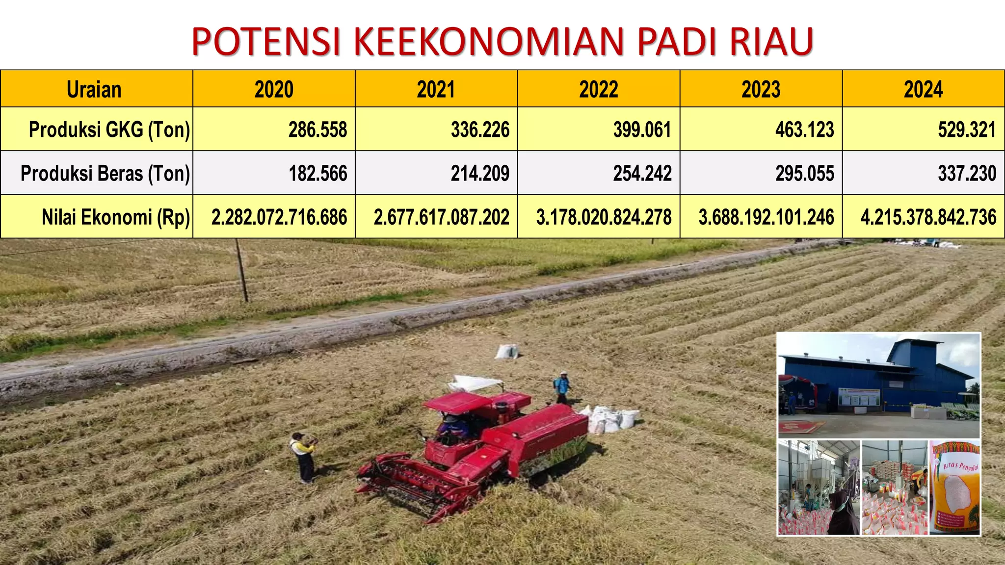 Roadmap RIAU BERTANI Bergerak Tanam Padi 2020-2024 | PDF